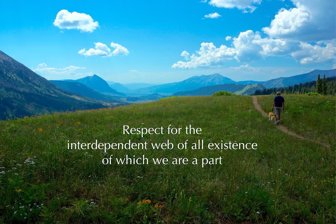 Reflections on the Eight Principles – 7th Principle: Respect for the ...